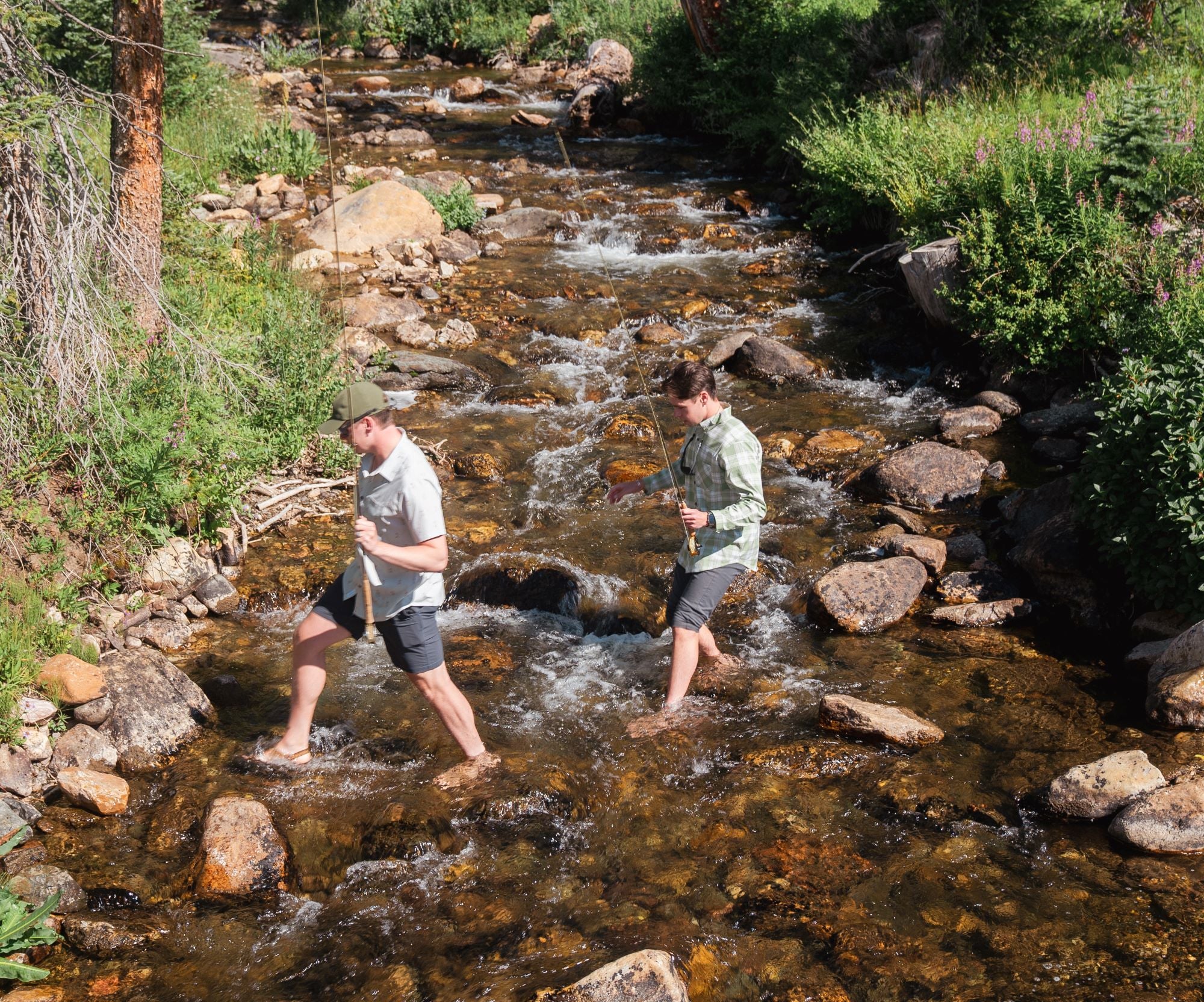 M Function & Performance – Wise River